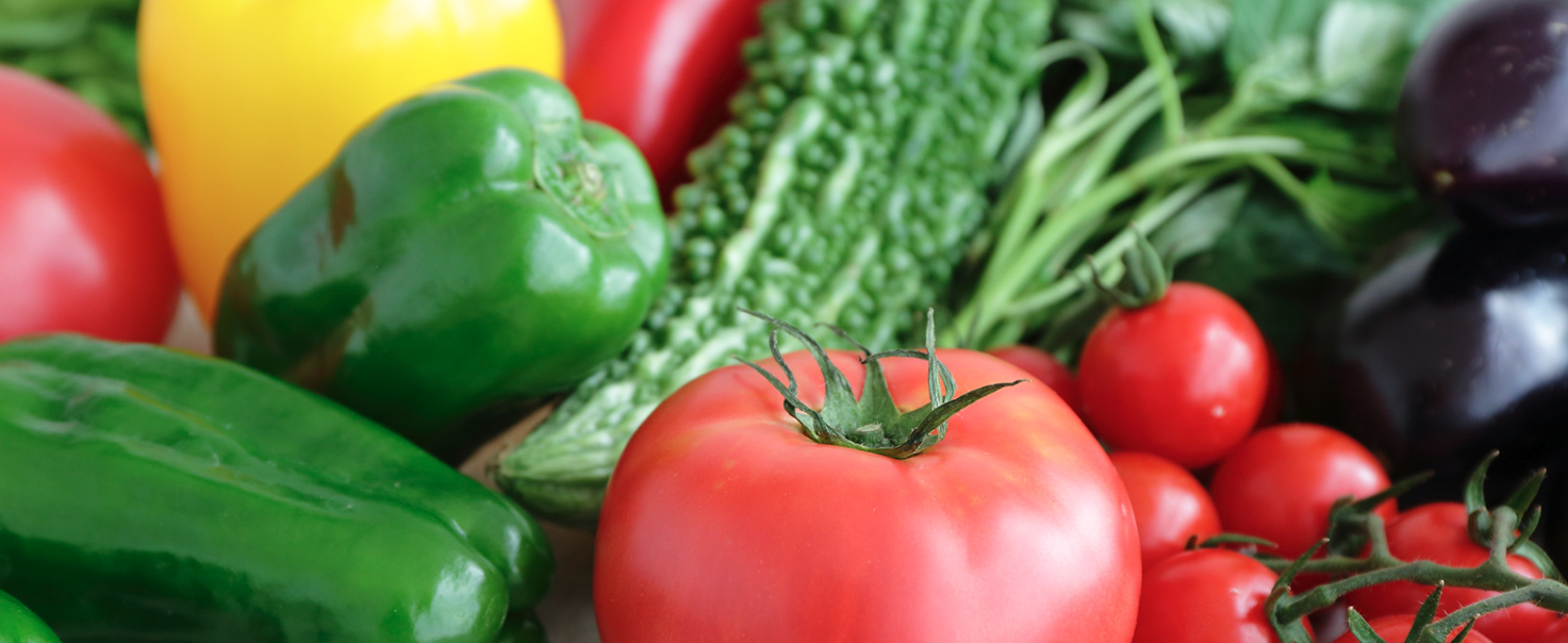 THE POWER OF SHUN : SHUNGATE