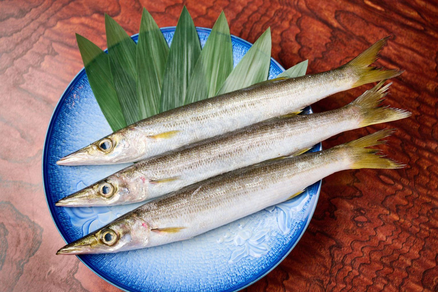 目利きが語る：旬の魚「カマス」を楽しむ : SHUN GATE : 日本の食文化を紹介